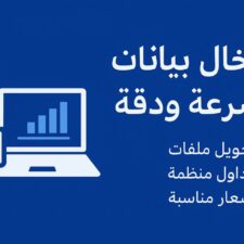 خدمة إدخال بيانات وتحليلها على Excel بشكل منظم - Roaa ali ali | شغل أون ...