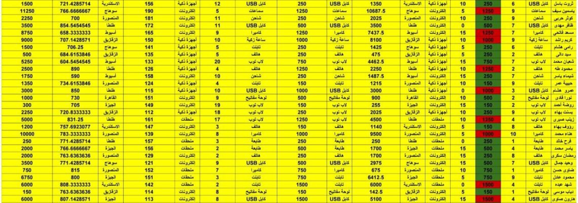 تحليل بيانات و إنشاء جداول Excel احترافية مع رسوم بيانية - Roaa ali ali ...